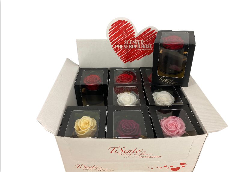 ICE Roses mix kleuren - Tisento Feelings of Flowers